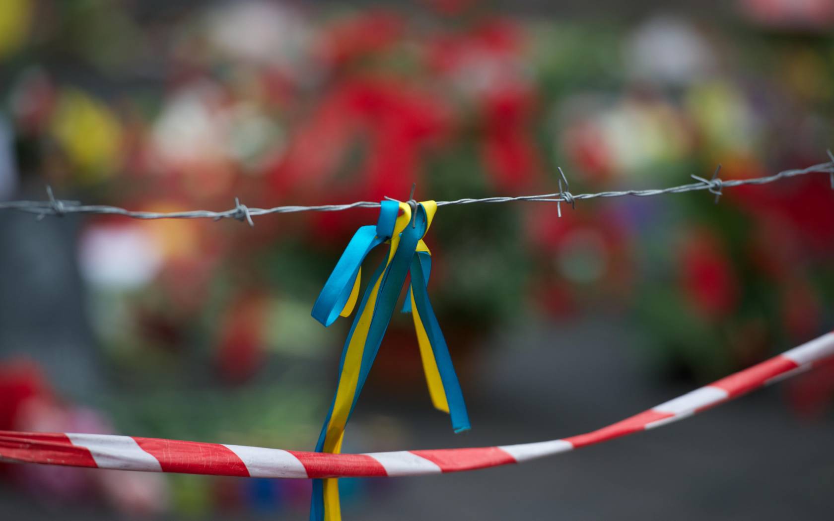 Ukraine's decade of war - Engelsberg ideas