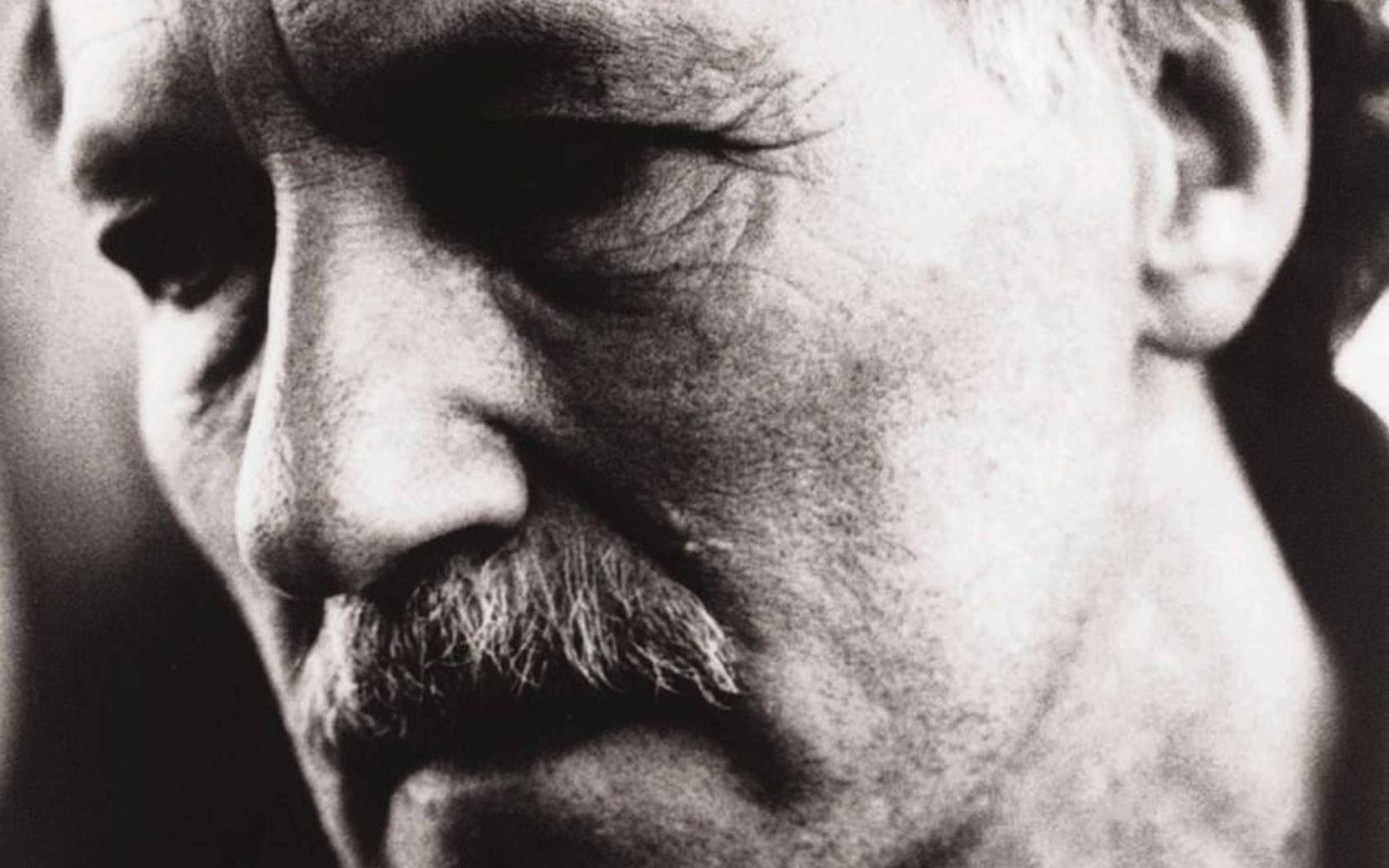 Werner Herzog's truth - Engelsberg ideas